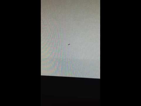 "Bugs on screen" malware - YouTube