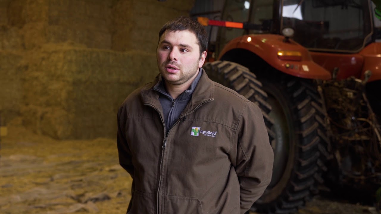 For My Farm, For My Business - Andy Stickel - YouTube