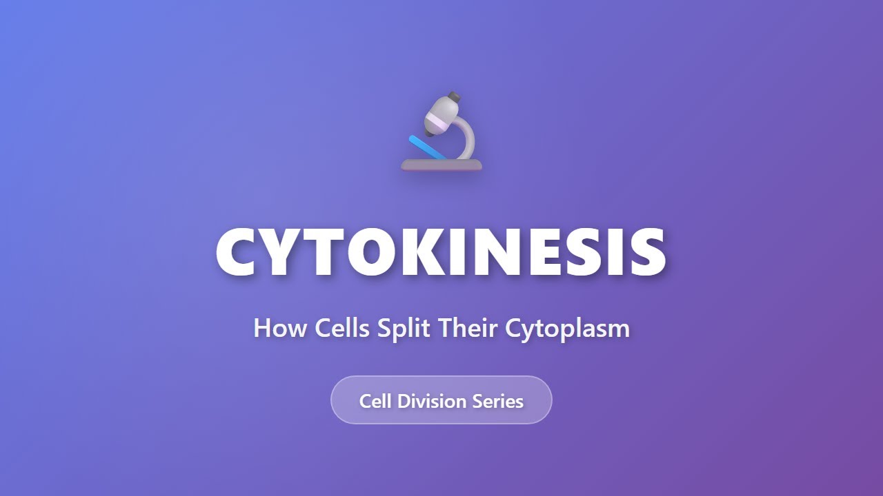 Cytokinesis Explained: How Cells Split Their Cytoplasm | Cell Division ...