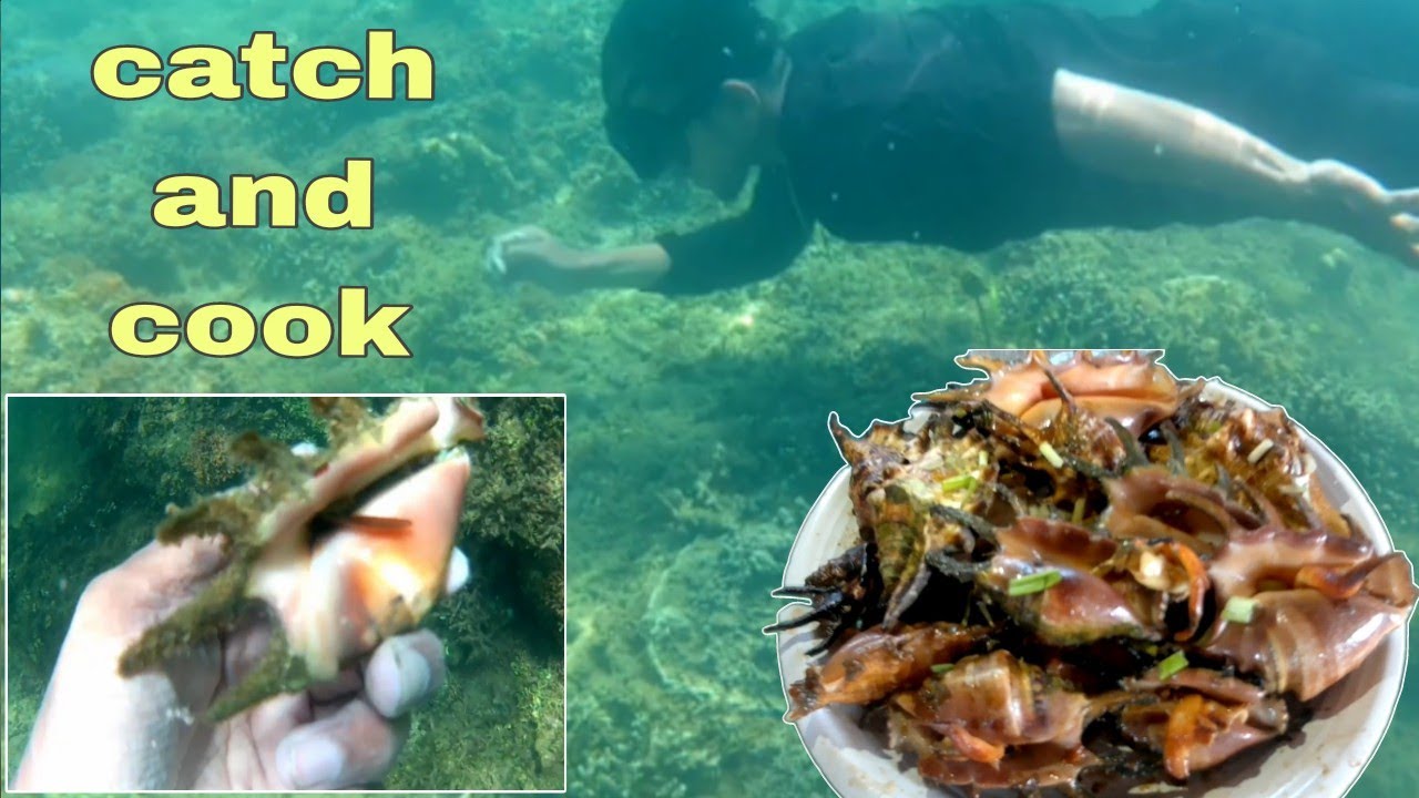 saang 'Spider shell ' Adventure ang lalaki ng saang catch@cook - YouTube