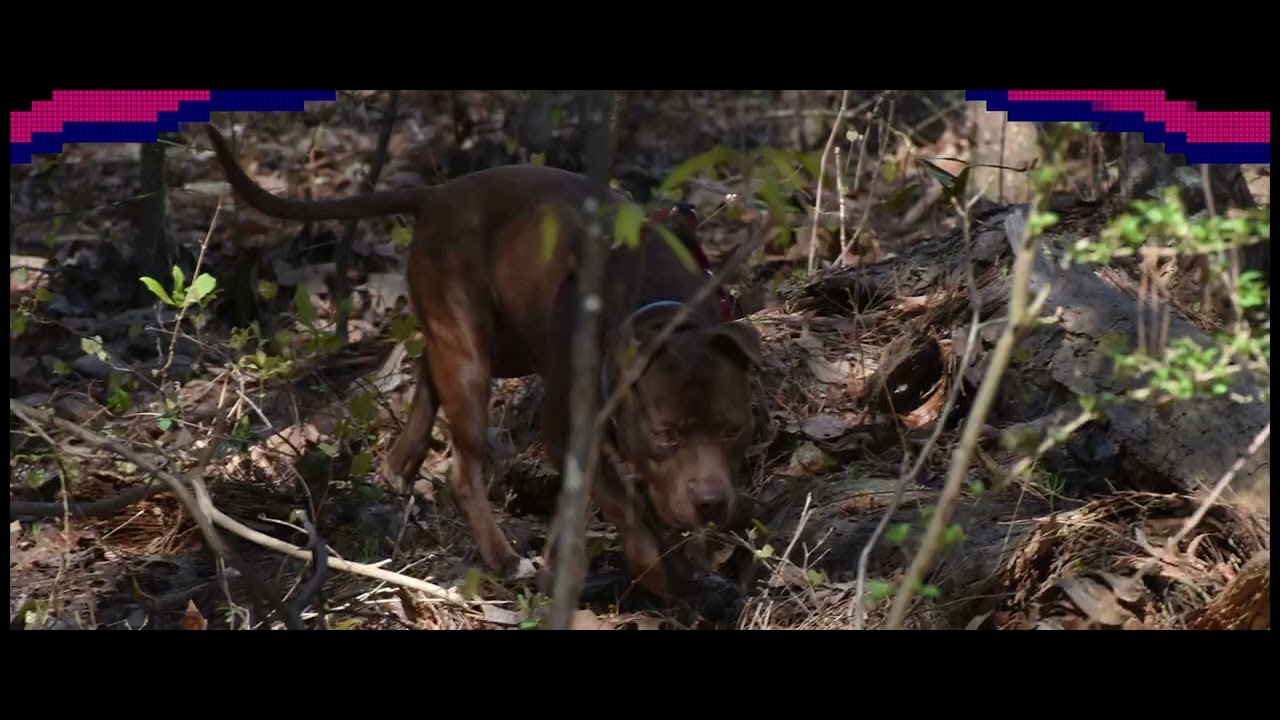 Maxine and Mello - YouTube