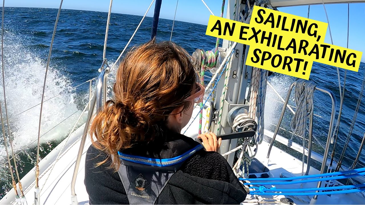Female Captain sails across the Sea of Cortez with a Dog! Chuffed ...