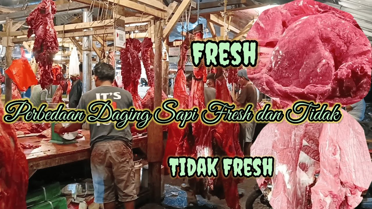 Hunting Daging Sapi Fresh ‼️Tips Memilih Daging Sapi Fresh - YouTube