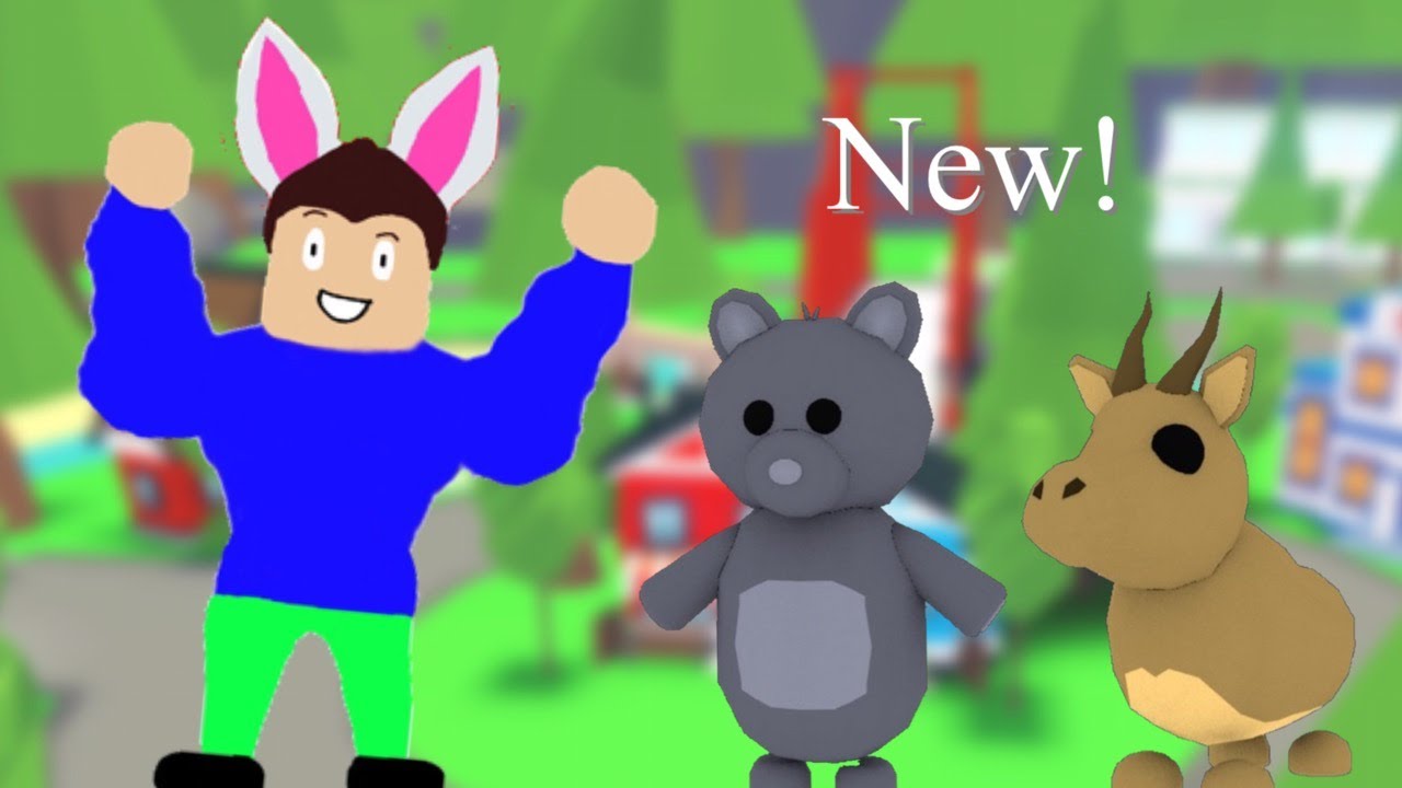 *NEW* Koala pet coming soon! Roblox | Adopt me - YouTube