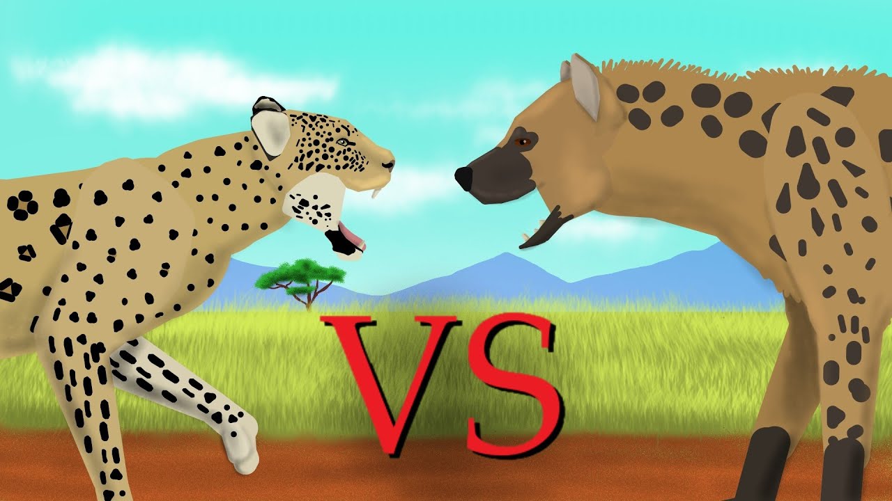 Leopard VS Hyena - Animal Fight Animation 2D / Pivot Animator - YouTube
