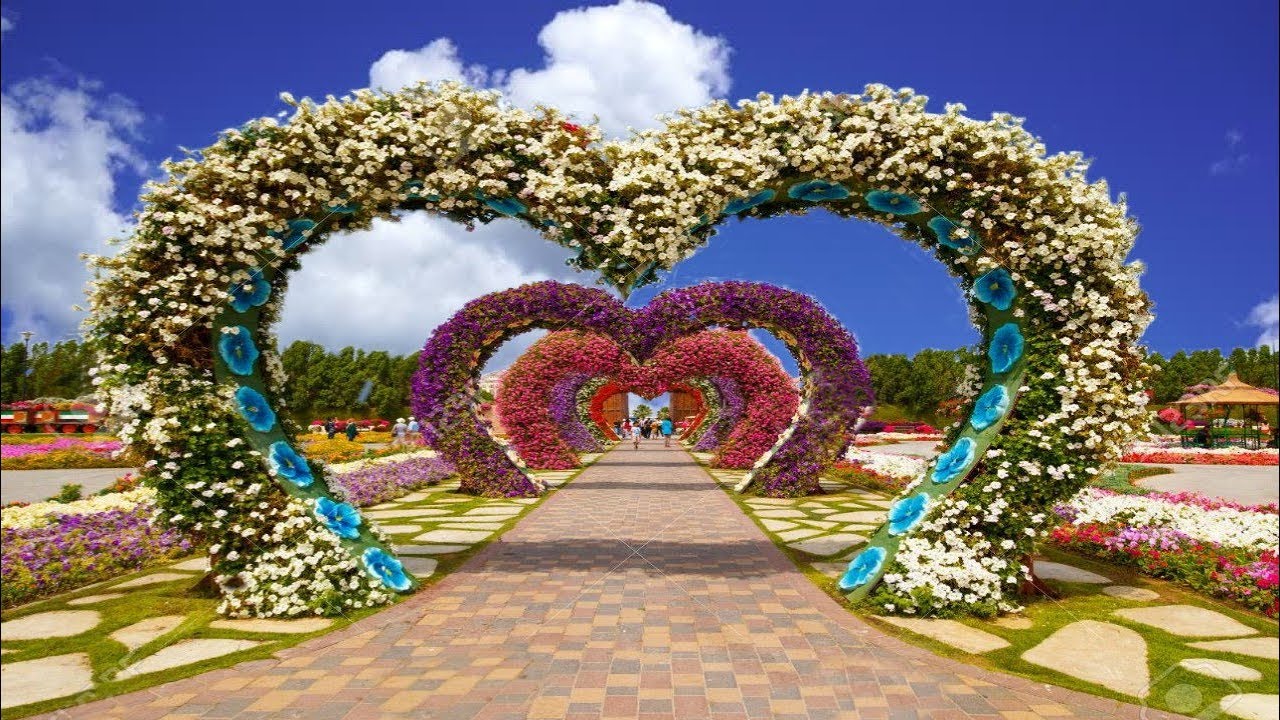 Miracle garden flowers garden Dubai 2019 #allbackgroundvideo - YouTube
