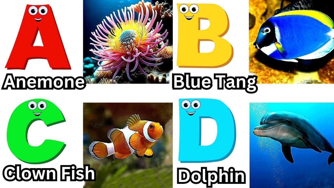 ABC Sea Animals | ABC Safari Animals 18TH826 | Alphabet Animals Song ...
