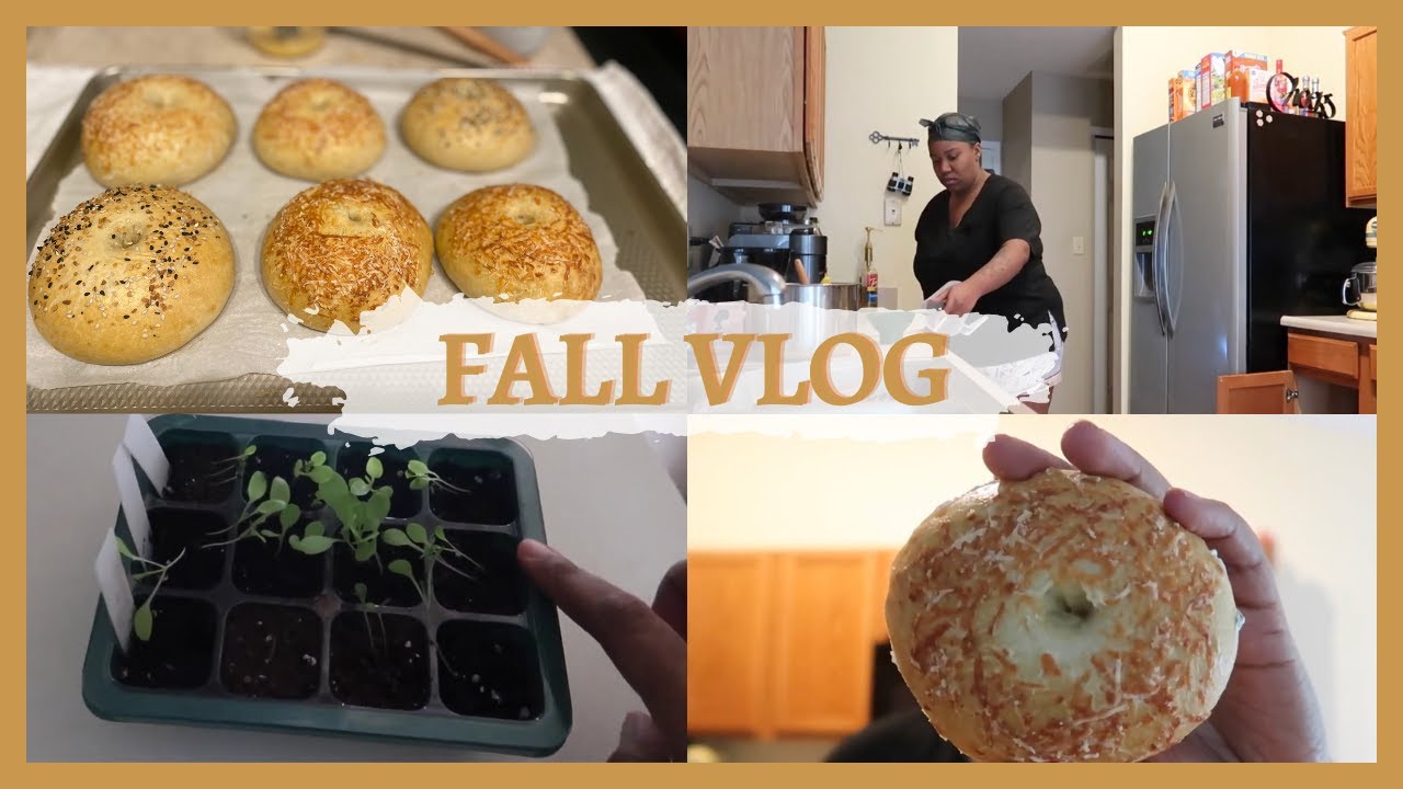 FALL DITL | CLEAN WITH ME...MAKING BAGELS...FALL GARDEN UPDATE - YouTube