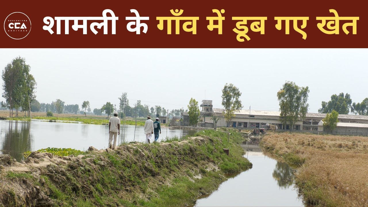 शामली के गाँव में डूब गए खेत || Fields in Shamli village submerged in ...