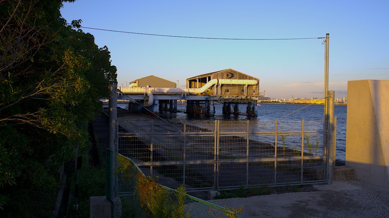 Evining Walk in Fishing Park (尼崎魚釣り公園) : SIGMA FP footage × Anno Domini ...