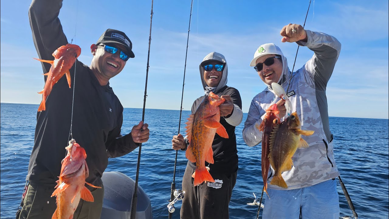 Southern California Saltwater Fishing Multiple Species Bonanza - YouTube