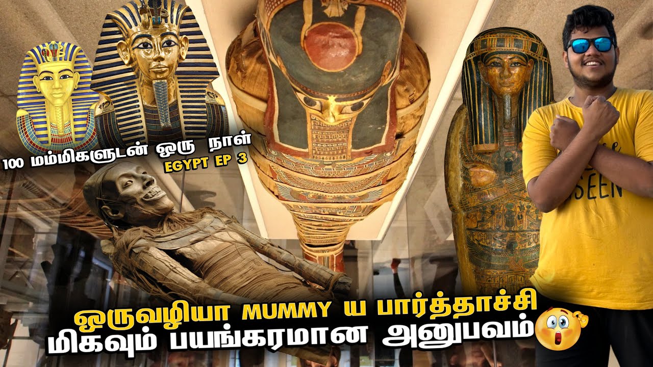 EGYPT ல ஒருவழியா MUMMY ய பார்த்தாச்சி | Cairo Mummy Museum | Egypt Ep 3 ...
