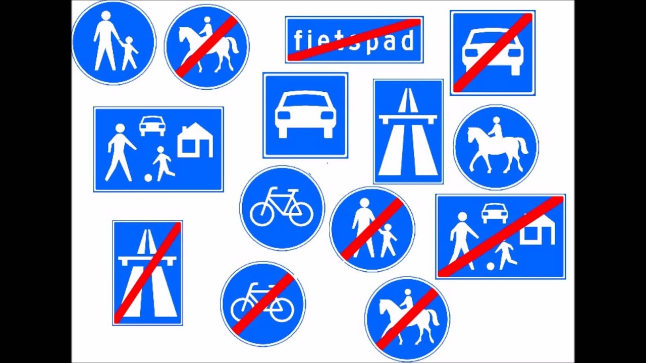 Kinderen Leren - Verkeersborden (6-13 jaar) - Wist je dat? - YouTube