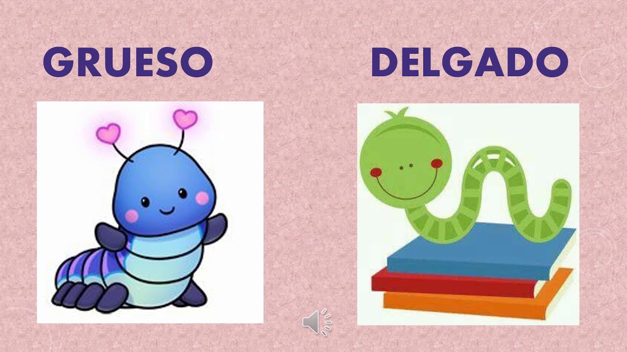 Grueso/ Delgado Largo/Corto. - YouTube