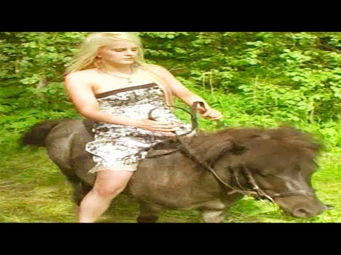 Lady Lost In Jungle - Small Pony Riding - Riding Lovers