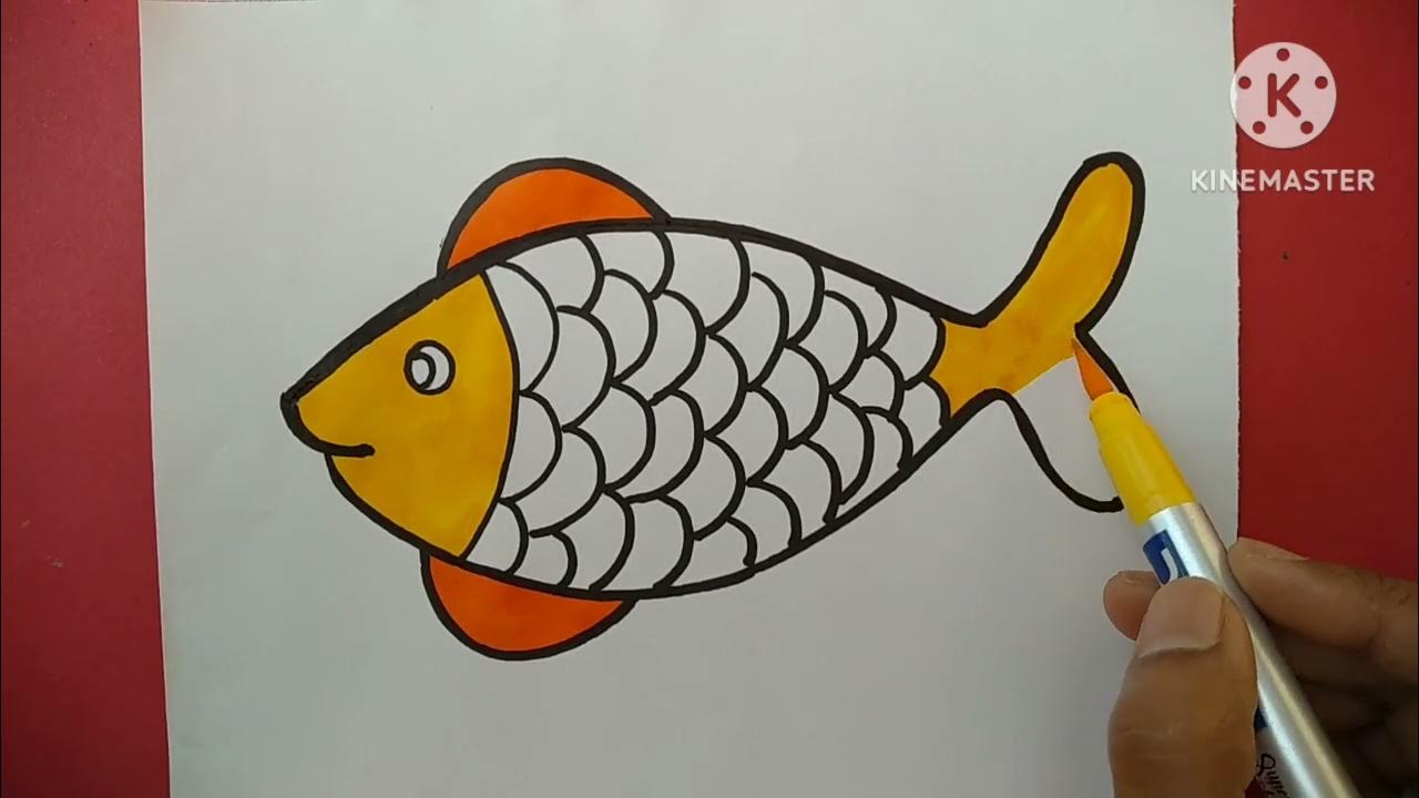 fish drawing||how to draw fish step by step|| - YouTube