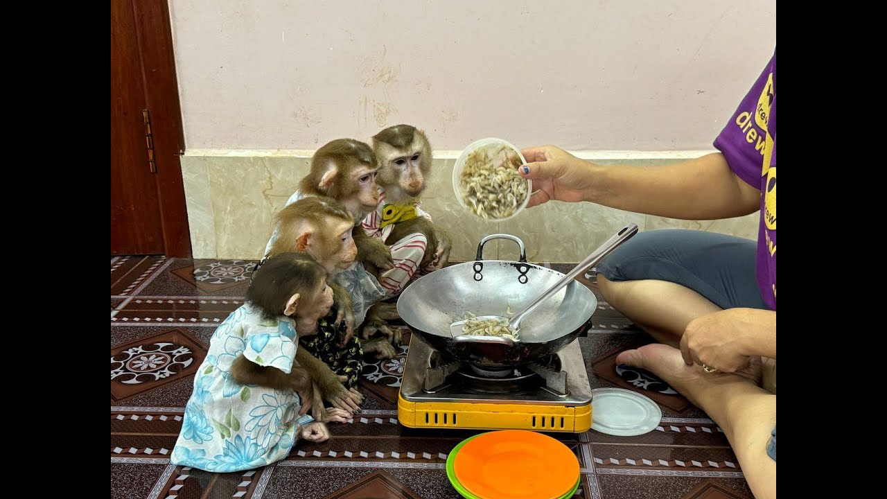 4 Siblings Sit Very Mannerly Waiting Mom To Cook Dinner Treat For Them ...