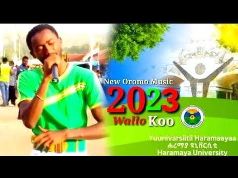 New oromo music walloo: By Hacaaluu xiqqaa 2023 - YouTube