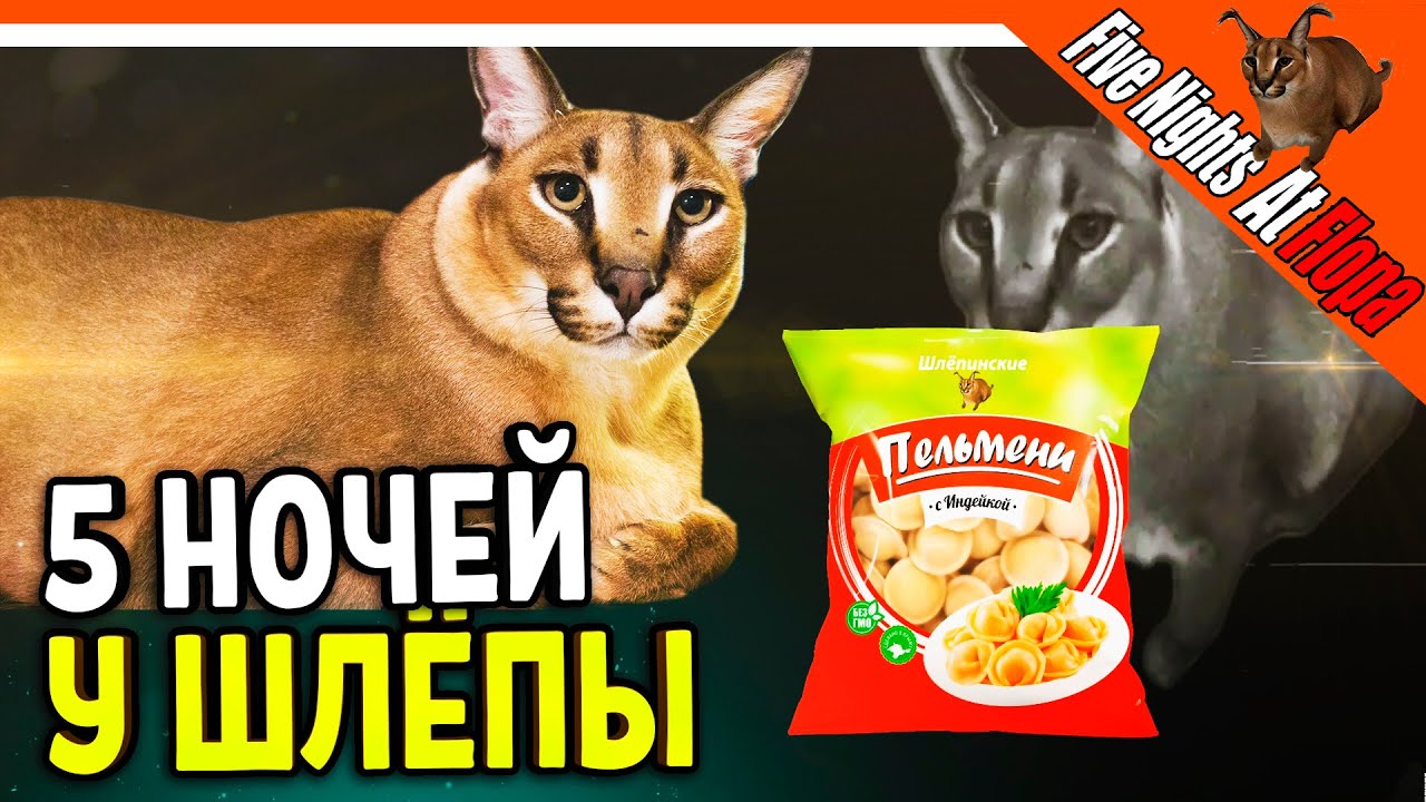 💥 5 НОЧЕЙ С ШЛЁПОЙ! ФИНАЛ! ФНАФ БОЛЬШОЙ ШЛЁПА! 🎮 FLOPPA Fnaf ...