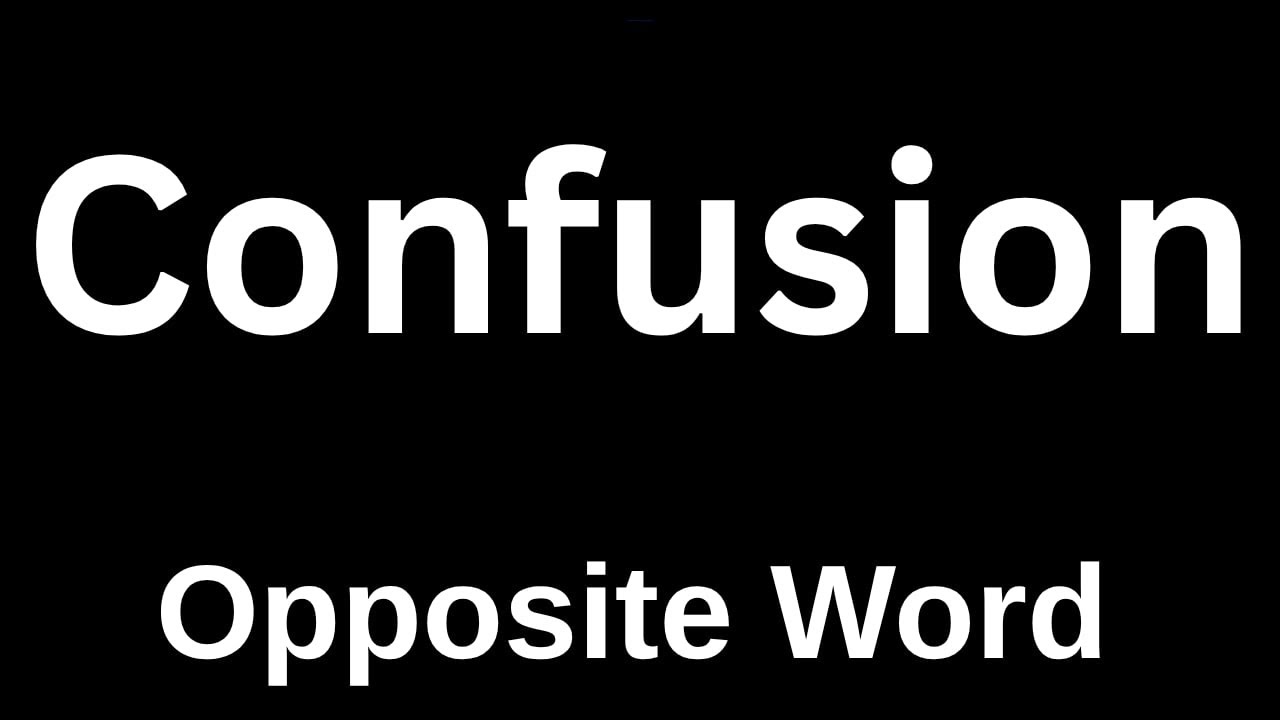 Confusion Opposite Word | Confusion Opposite Word In English - YouTube