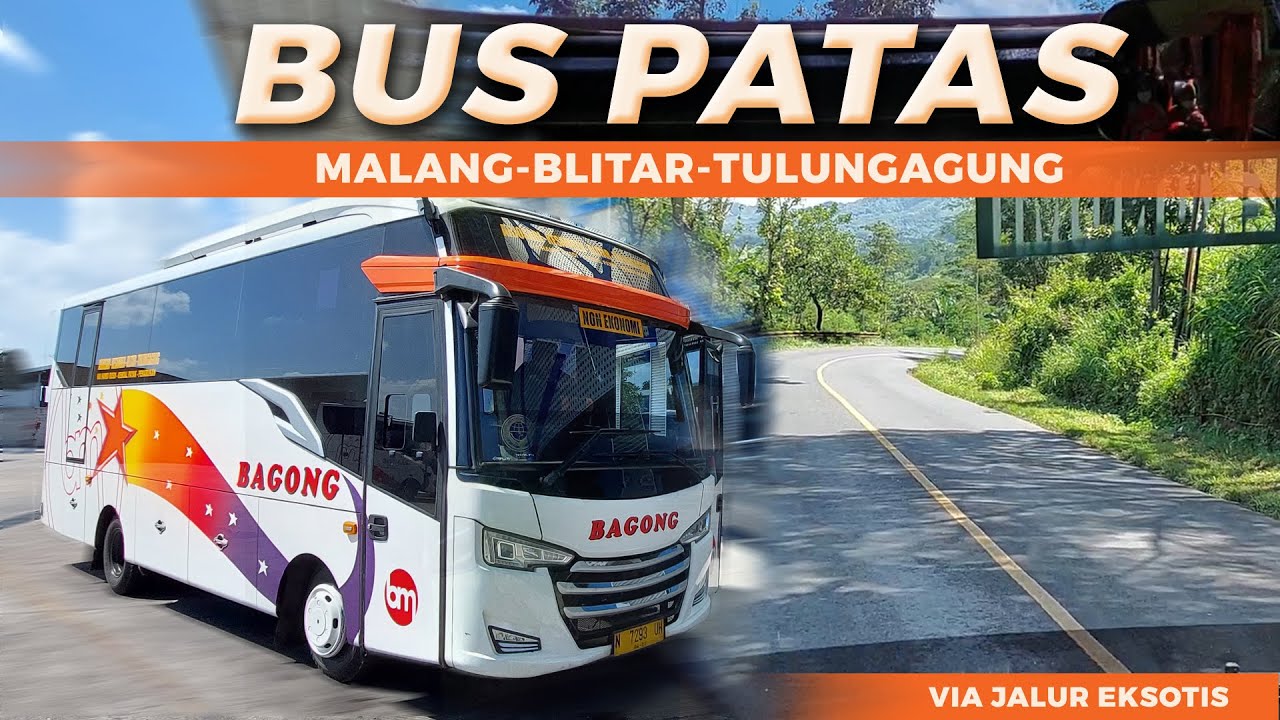 BUS PALING RECOMMENDED DARI MALANG KE TULUNGAGUNG, TRIP BUS BAGONG ...