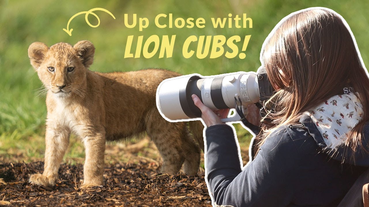 Zoo Photography Hack – The Best Time to Capture Wildlife - YouTube