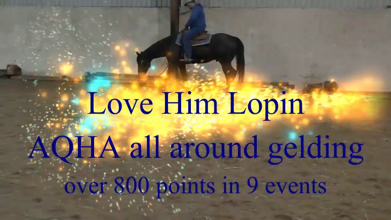 AQHA all around gelding- Love Him Lopin - YouTube