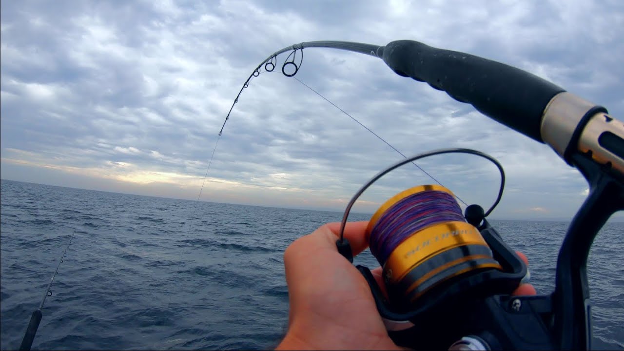 SNAPPER FISHING on the BOAT & SQUID FISHING on the JETTY! - YouTube
