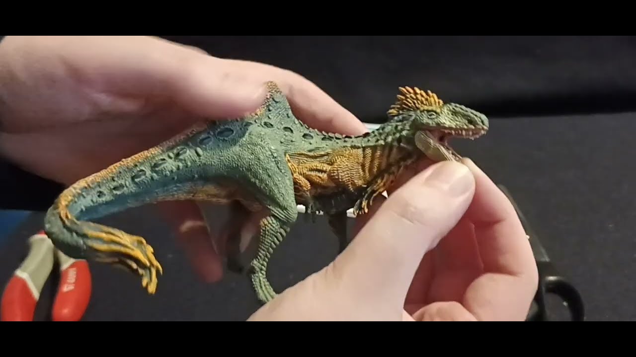 Unboxing Concavenator Papo Figure - YouTube