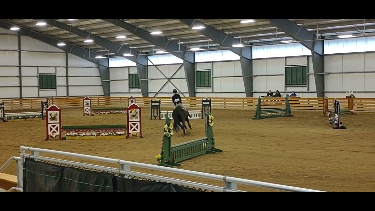 2023 IEA Zones Open championship over fences - YouTube
