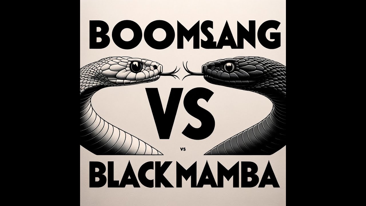BOOM SLANG VS BLACK MAMBA,WORLD DEADLIEST SNAKES,BLACK MAMBA,SNAKE ...