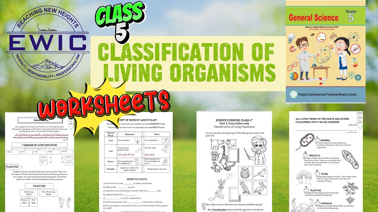 Class 5 | Science (Worksheets) | Chapter 1 | Quick Review ...