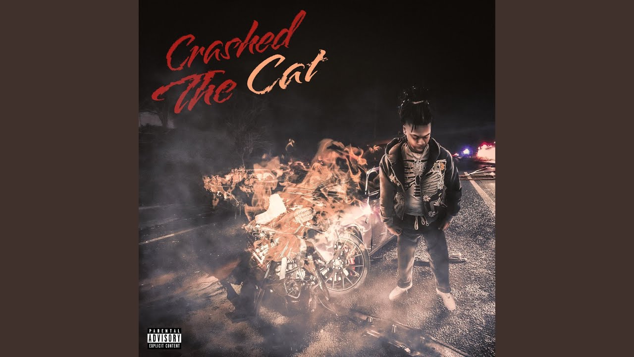 Crashed the cat - YouTube