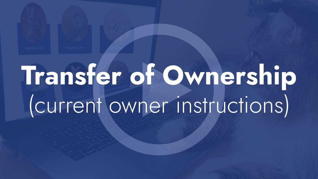 Transfer of Ownership (Current Owner Instructions) - YouTube