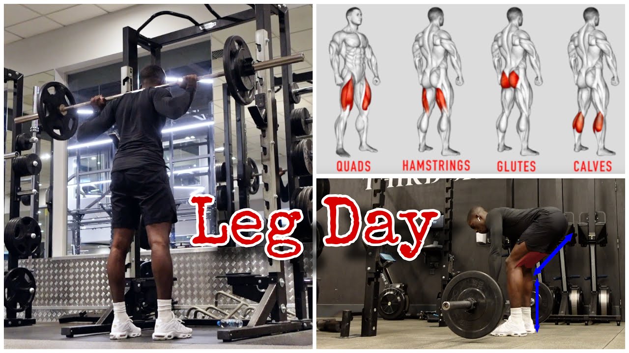 How to Get DEFINED Legs | FULL LEG DAY WORKOUT 🏋🏿 - YouTube