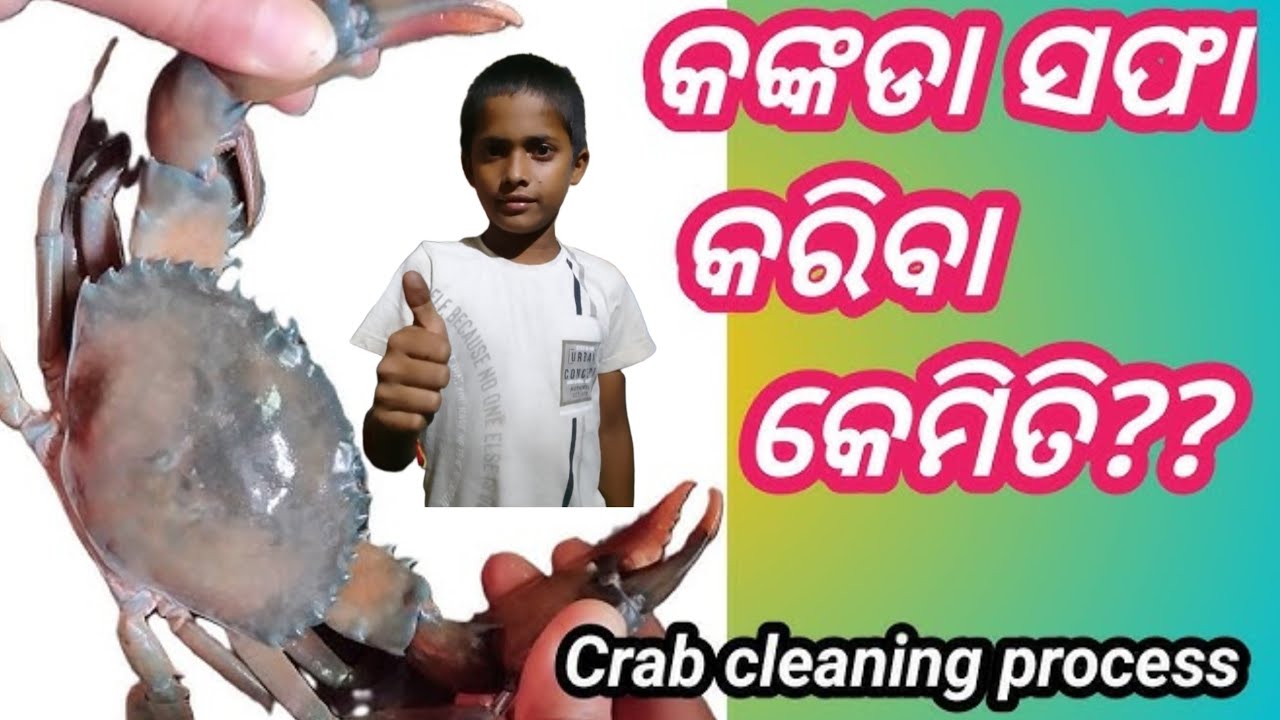 How To Clean Crab / Easy Way To Clean Crab /Crab Cleaning Process ...