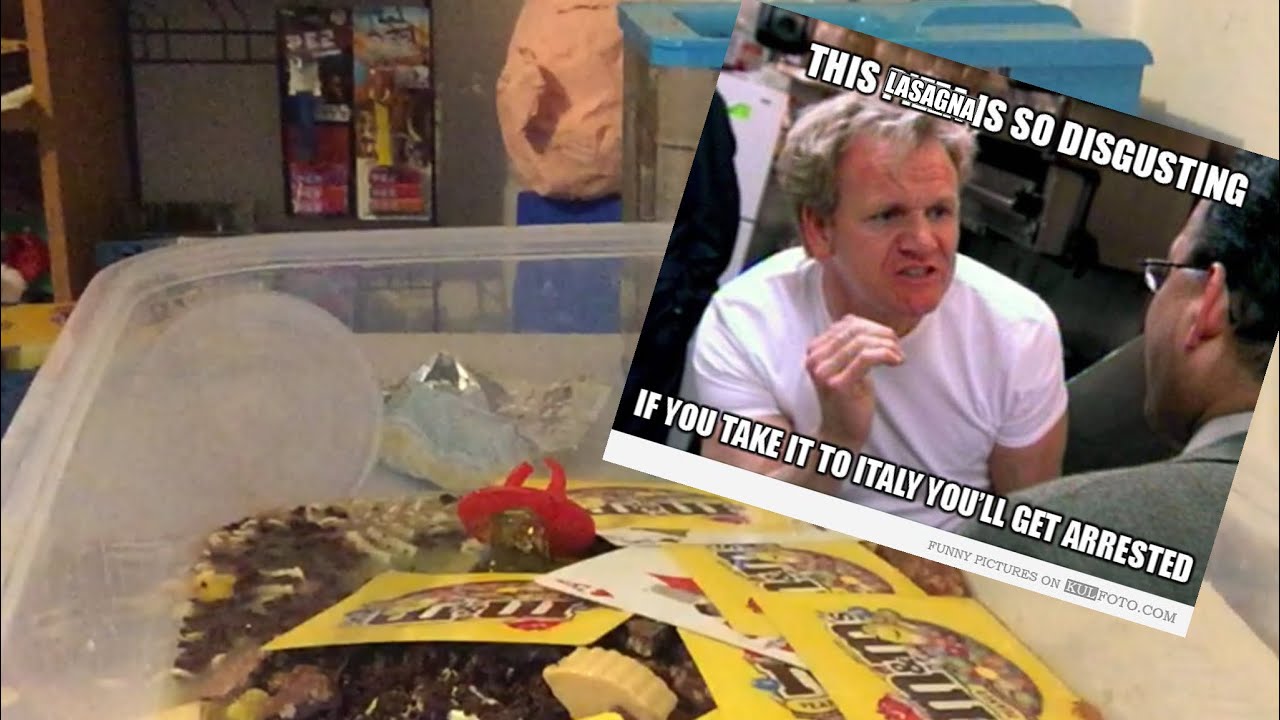 Trash lasagna (disgusting)! - YouTube