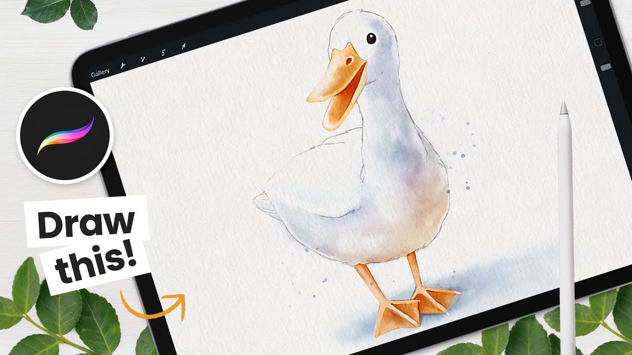 How To Draw A Watercolor Duck • Procreate Tutorial - YouTube