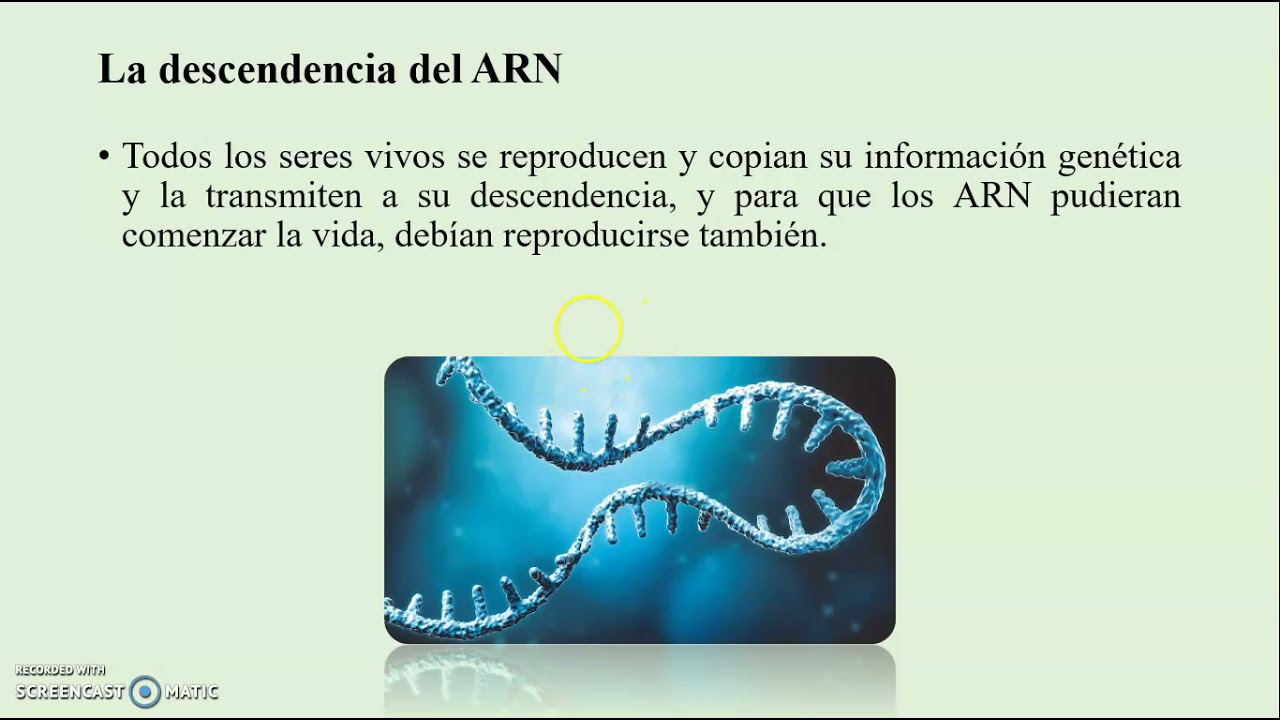 Hipótesis teoría del mundo del ARN - YouTube
