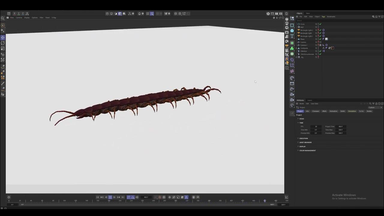 Centipede Rigged animated 3D Model Game ready - YouTube