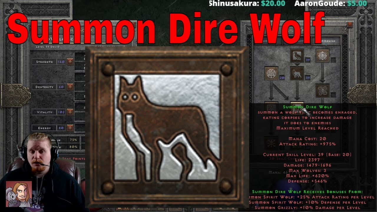 D2R Skills & Abilities - Summon Dire Wolf (Druid Summoning Tree) - YouTube