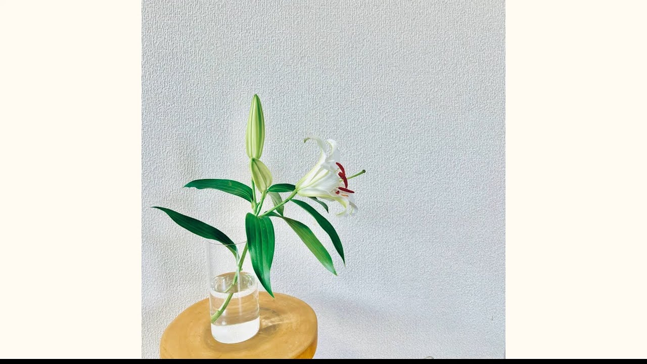 blur birds『Lilly』Official Lyric Video - YouTube