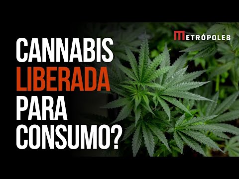 Regra da Anvisa libera uso recreativo da cannabis? Entenda o que muda