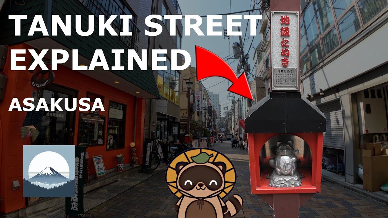 Asakusa Tanuki "Racoon" Street Explained - YouTube