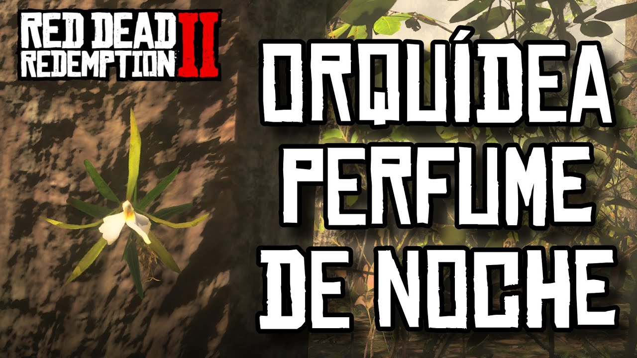 Ubicación Orquídea Perfume De Noche (Epidendrum Nocturnum) | Red Dead ...