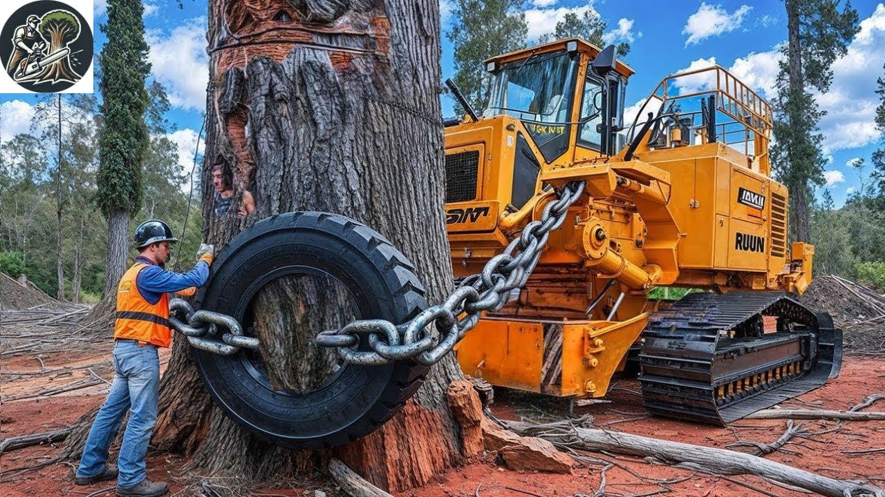 Extreme Dangerous Fastest Big Chainsaw Cutting Tree Machines | Monster ...