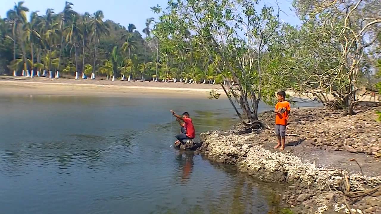 Rumbo a una Pedota por el Manglar de Tenacatita (Los Angeles Locos) con ...