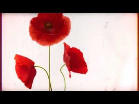 Don't You Forget About Me by Erin McCole Cupp (Book Trailer) - YouTube