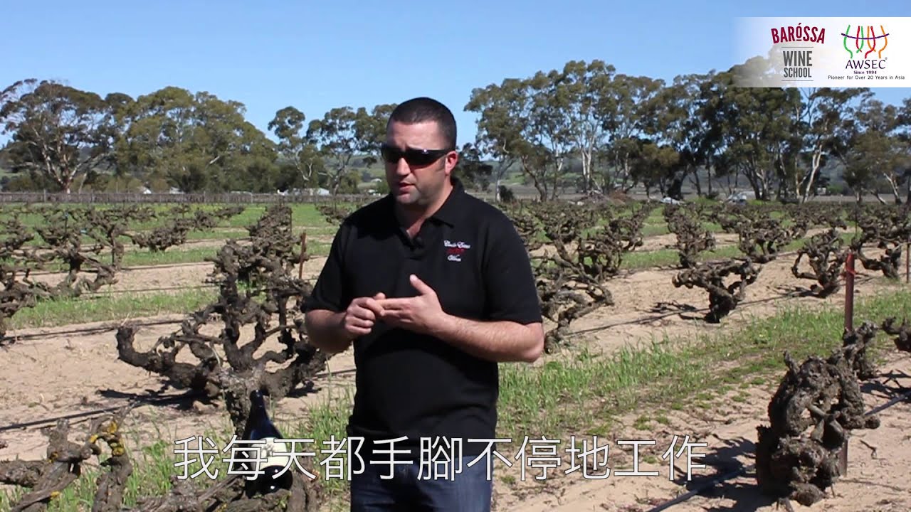 【玩轉巴羅薩 - Barossa Fun 360: Cirillo Estate篇】 - YouTube