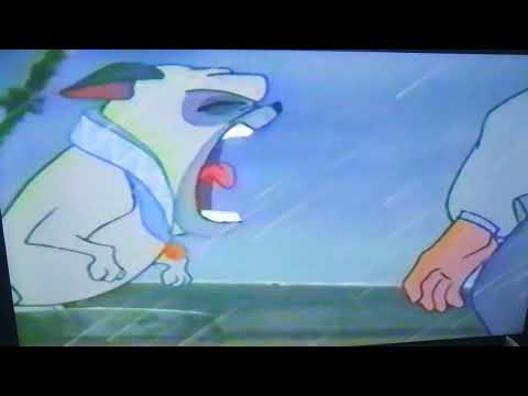 Pocahontas 2 - La Finale Bataille